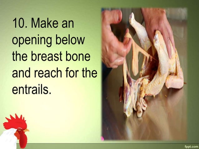 Dressing poultry | PPTX