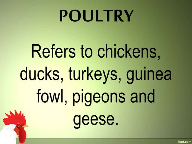 Dressing poultry | PPTX