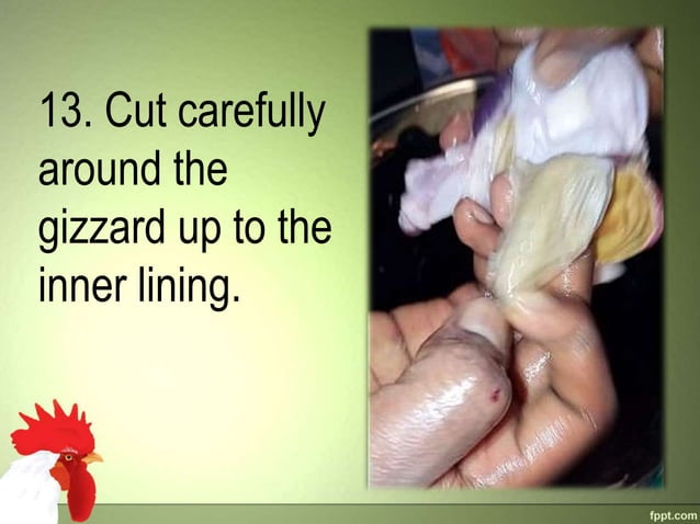 Dressing poultry | PPTX