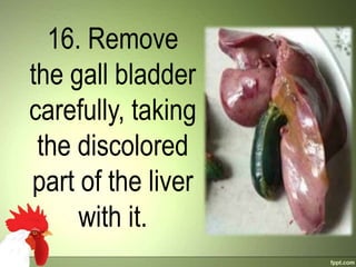 Dressing poultry | PPTX