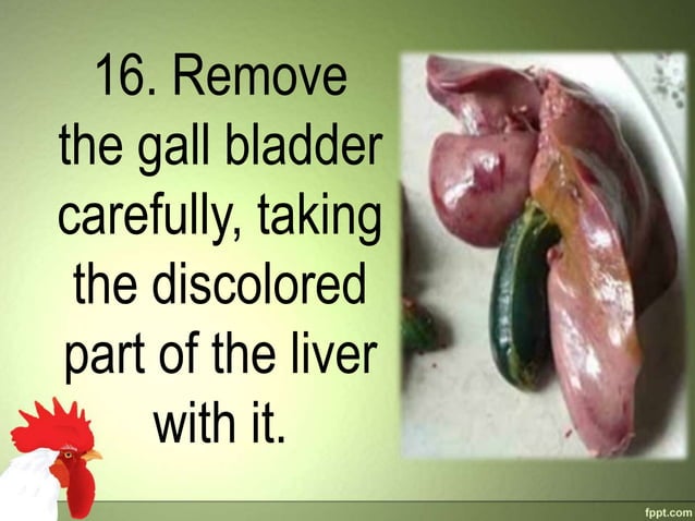 Dressing poultry | PPTX