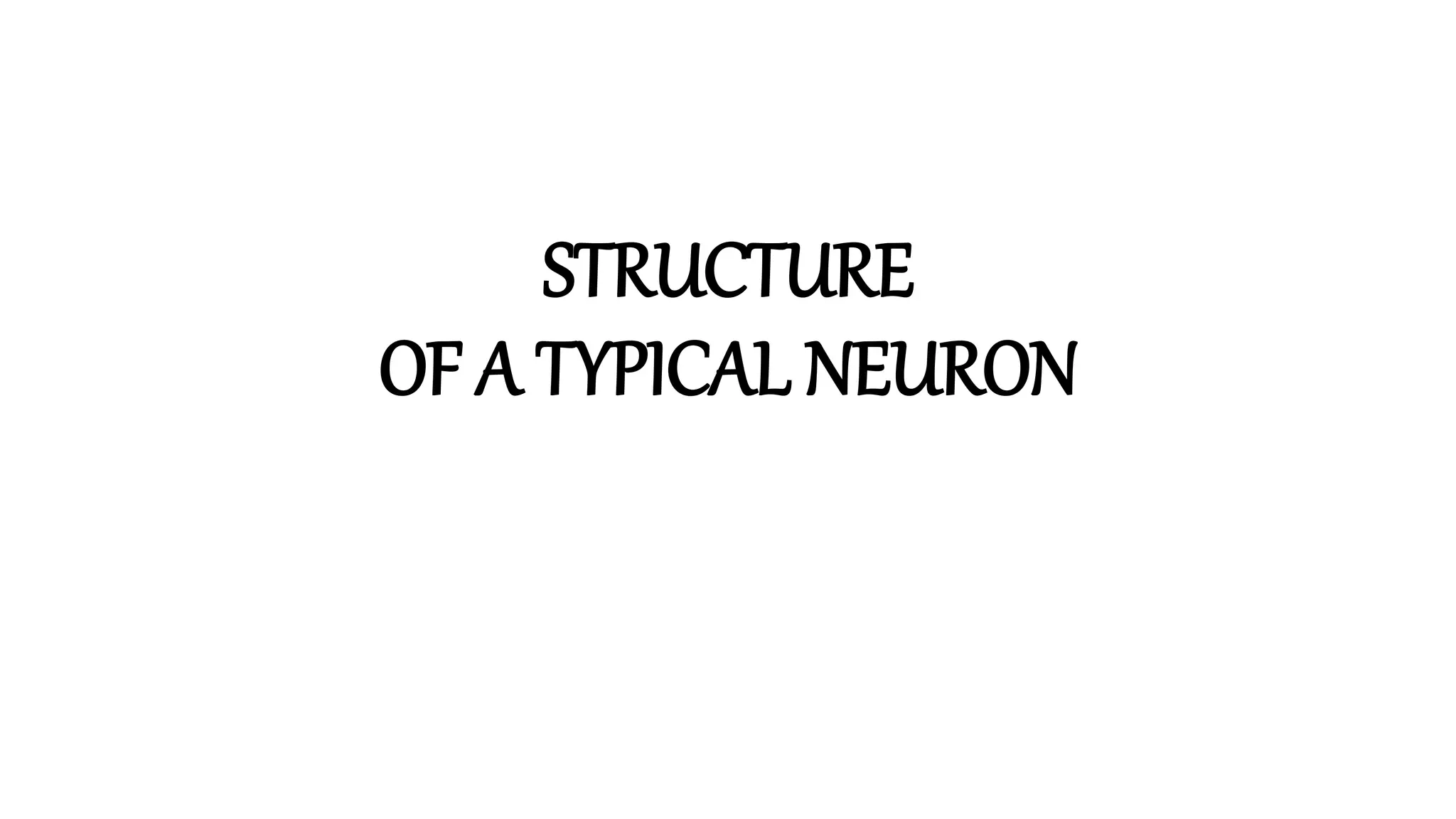 dr fareed structure of neuron msk 1 lec 1.pptx