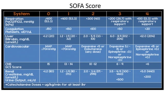 dr Franciscus Ginting - Sepsis PIN PAPDI Surabaya WS-051019.pdf