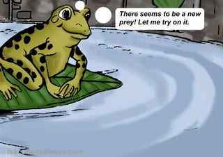 Dr frog | PDF