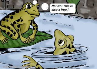 Dr frog | PDF