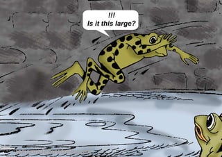 Dr frog | PDF