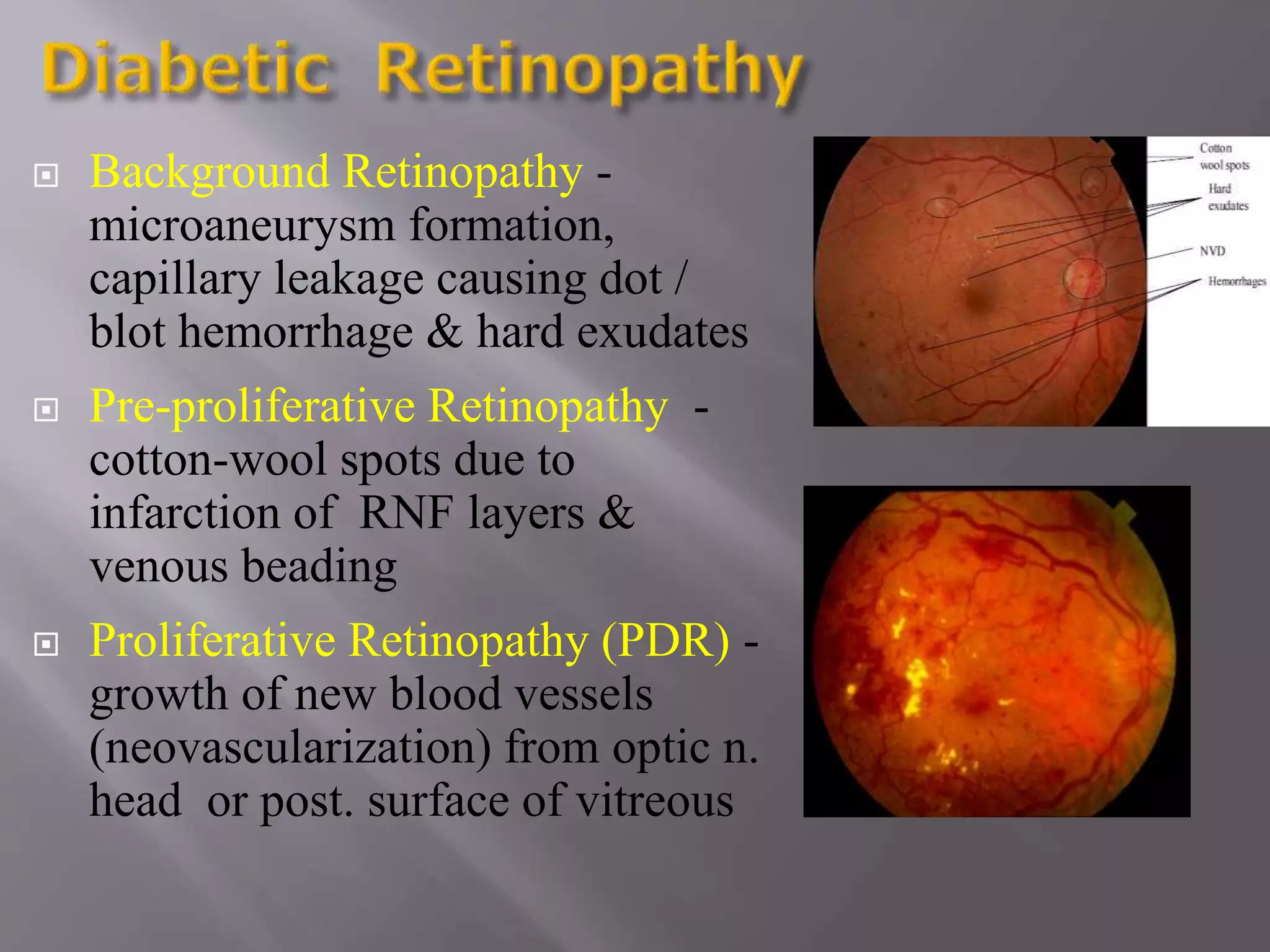 DR from physicians perspective.pptx