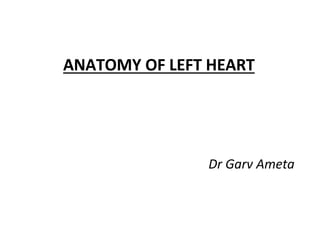 Dr Garva Ameta anatomy Of Left Heart.pptx