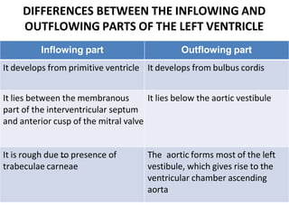 Dr Garva Ameta anatomy Of Left Heart.pptx