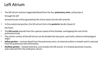 Dr Garva Ameta anatomy Of Left Heart.pptx