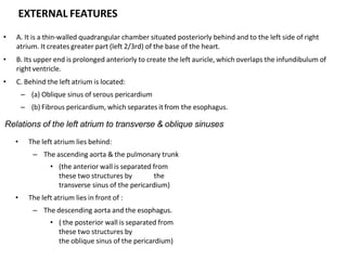 Dr Garva Ameta anatomy Of Left Heart.pptx