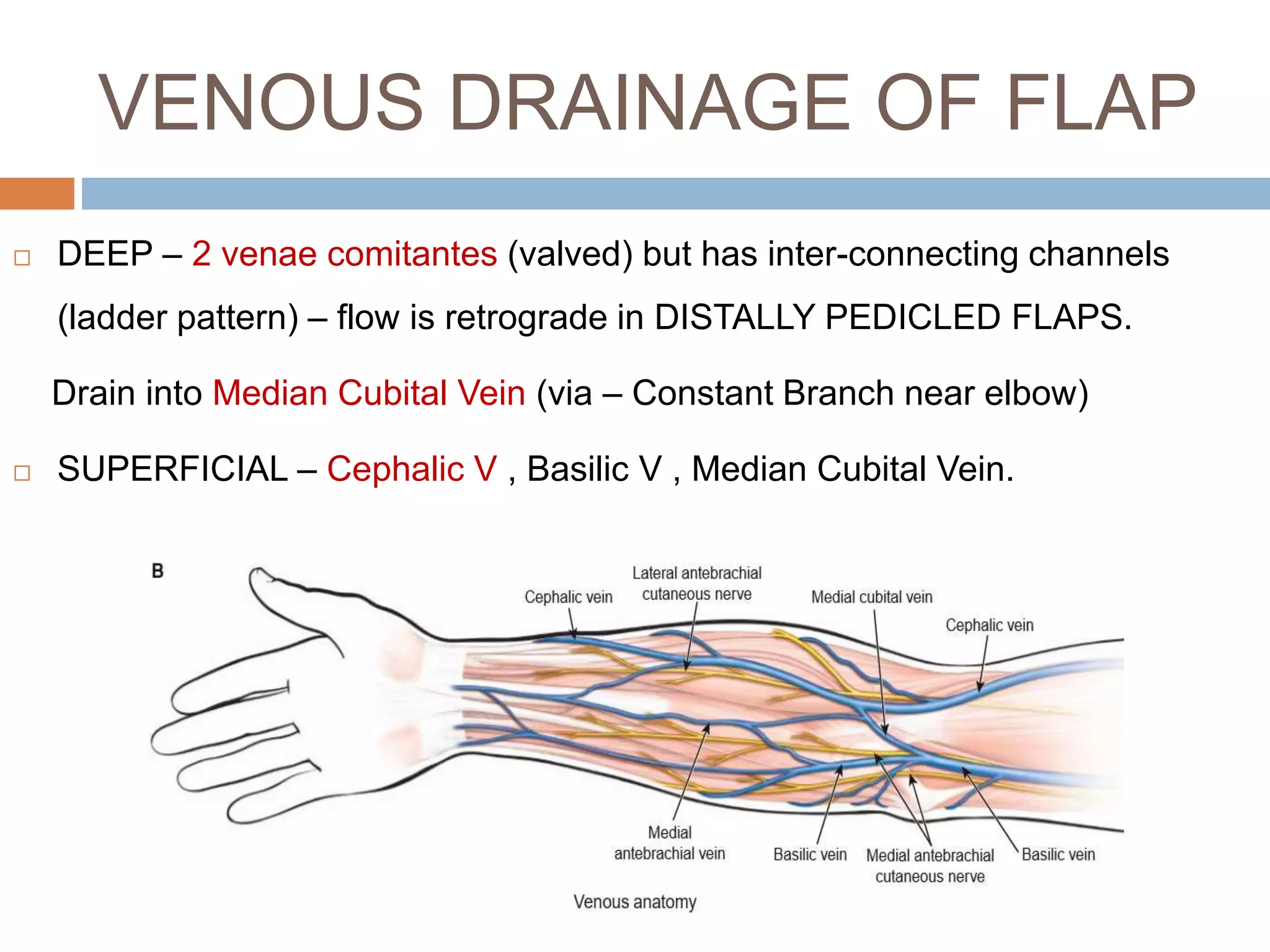 Radial Forearm Flap | PPTX