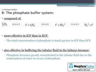 Part I - Normal Acid Base Balance & Metabolic Acid Base Disorders - Dr ...