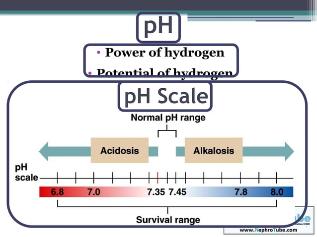 Part I - Normal Acid Base Balance & Metabolic Acid Base Disorders - Dr ...