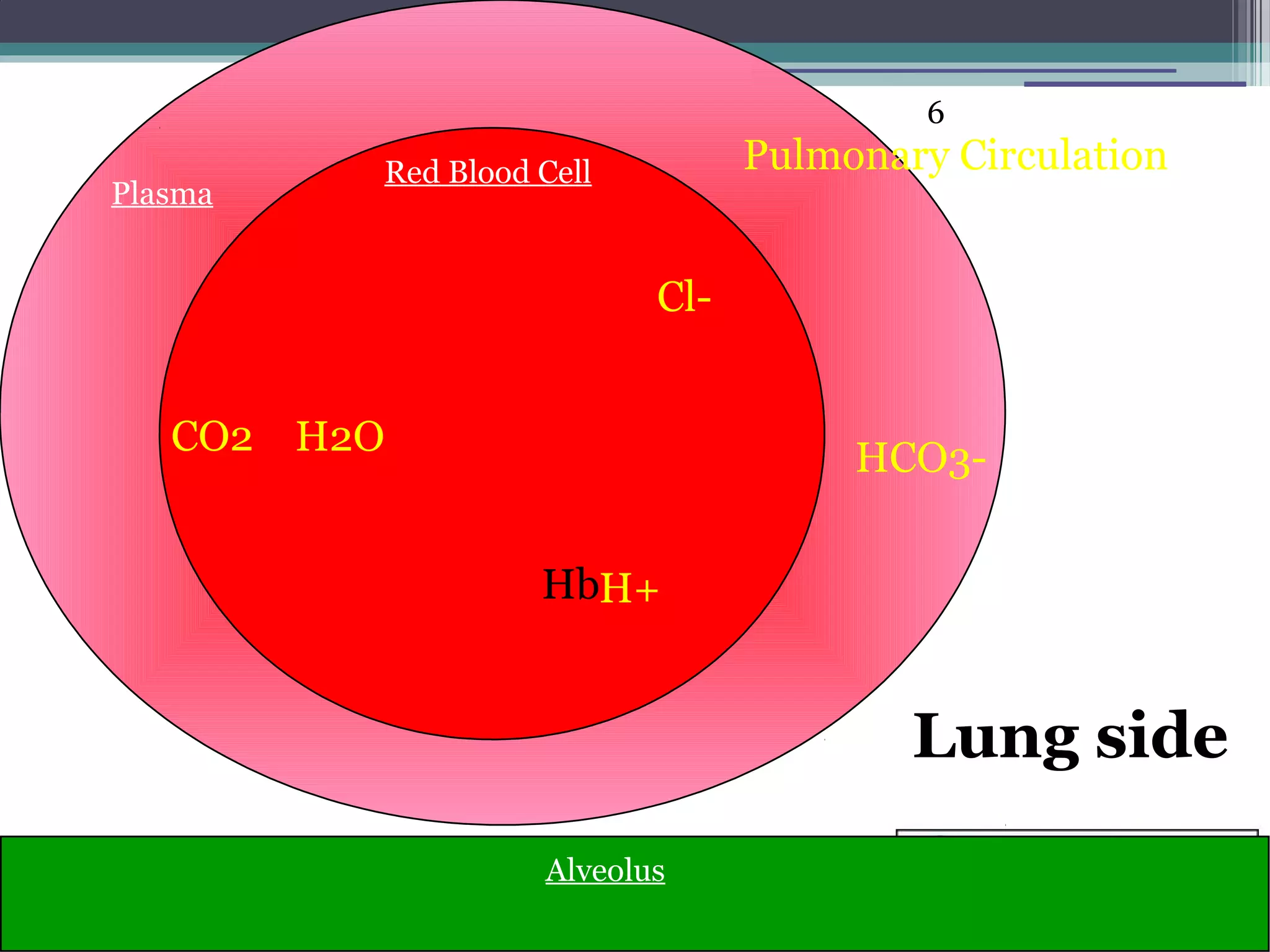 Part II - Respiratory, Mixed Acid Base Disorders & ABG Interpretation ...