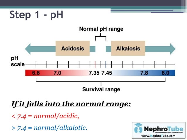 Part II - Respiratory, Mixed Acid Base Disorders & ABG Interpretation ...