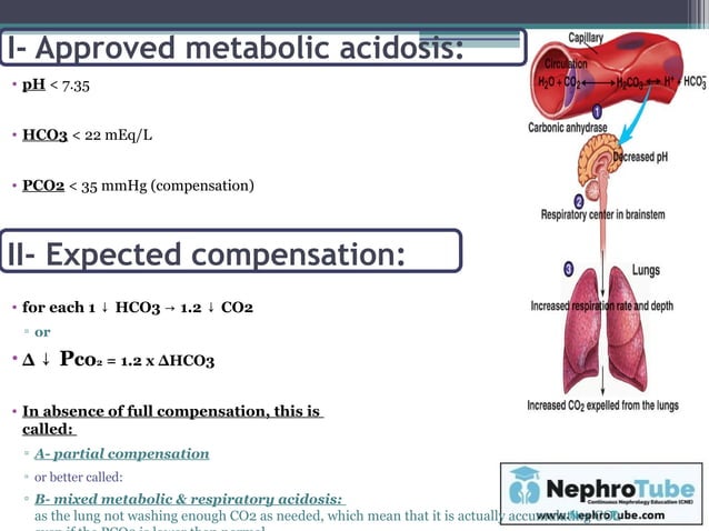 Part II - Respiratory, Mixed Acid Base Disorders & ABG Interpretation ...
