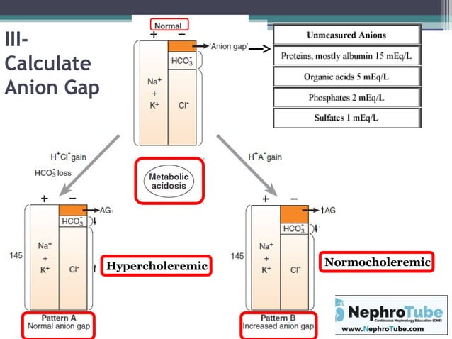 Part II - Respiratory, Mixed Acid Base Disorders & ABG Interpretation ...
