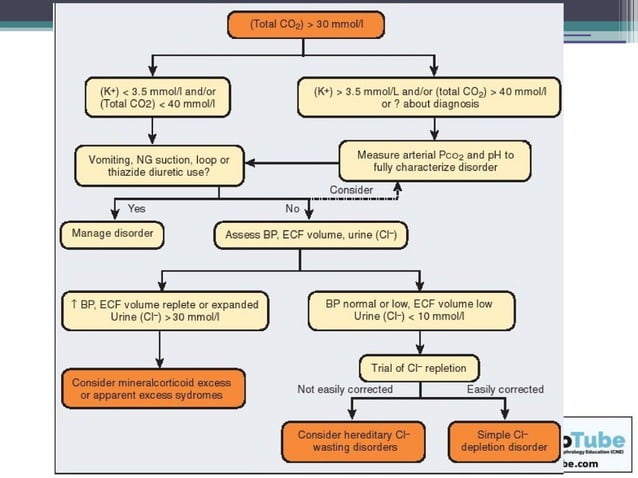 Part II - Respiratory, Mixed Acid Base Disorders & ABG Interpretation ...