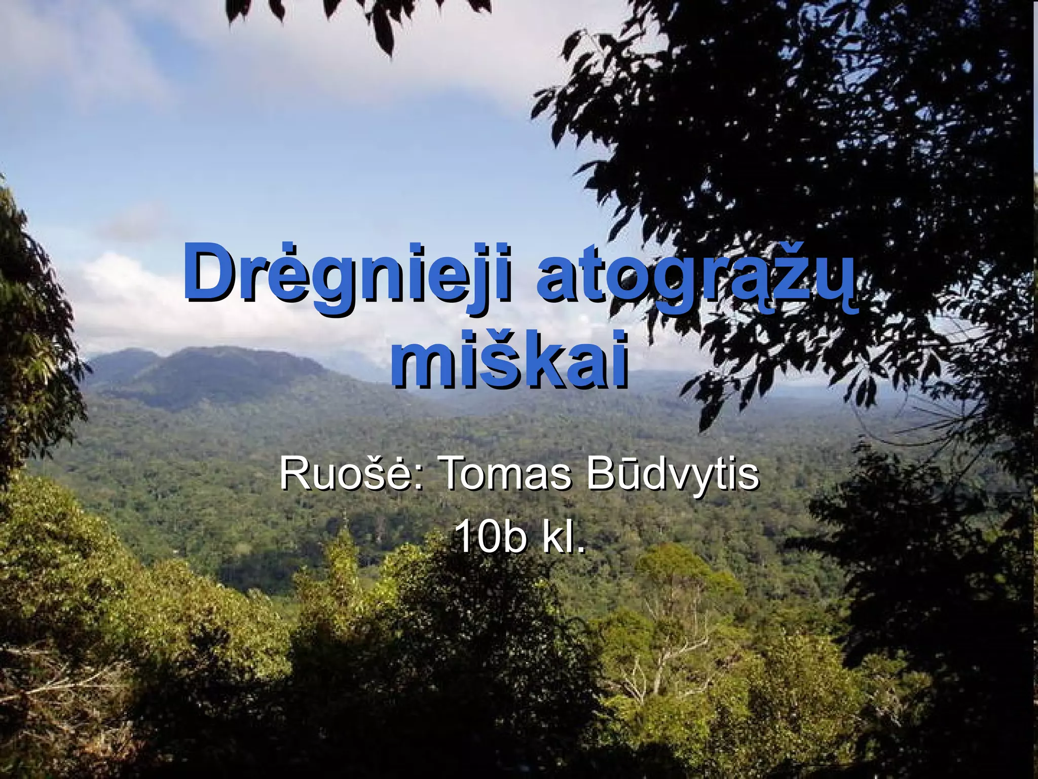 Drėgnieji atogrąžų miškai | PPT