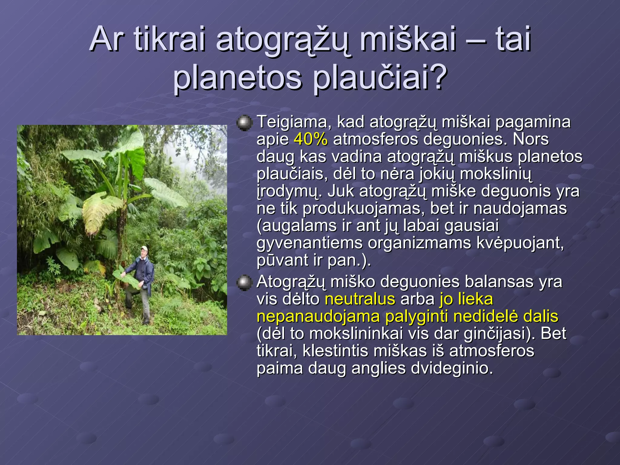 Drėgnieji atogrąžų miškai | PPT