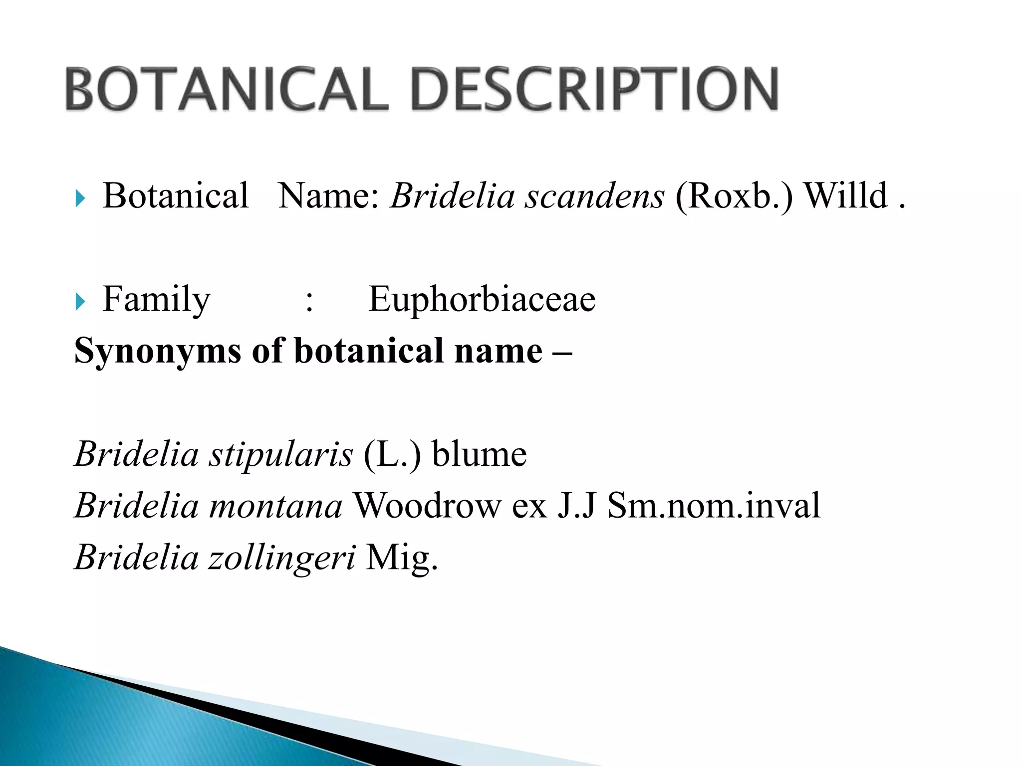 drgopal thesis ppt.pptx