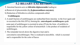 dr gurjinder bilirubin estimation.pptx