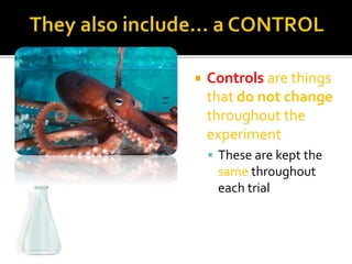 Dr herc revised | PPT