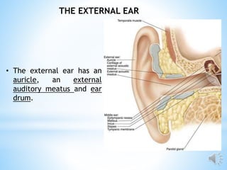 Dr Hoda _Hassan_Anatomy of EAR 20-21.pptx