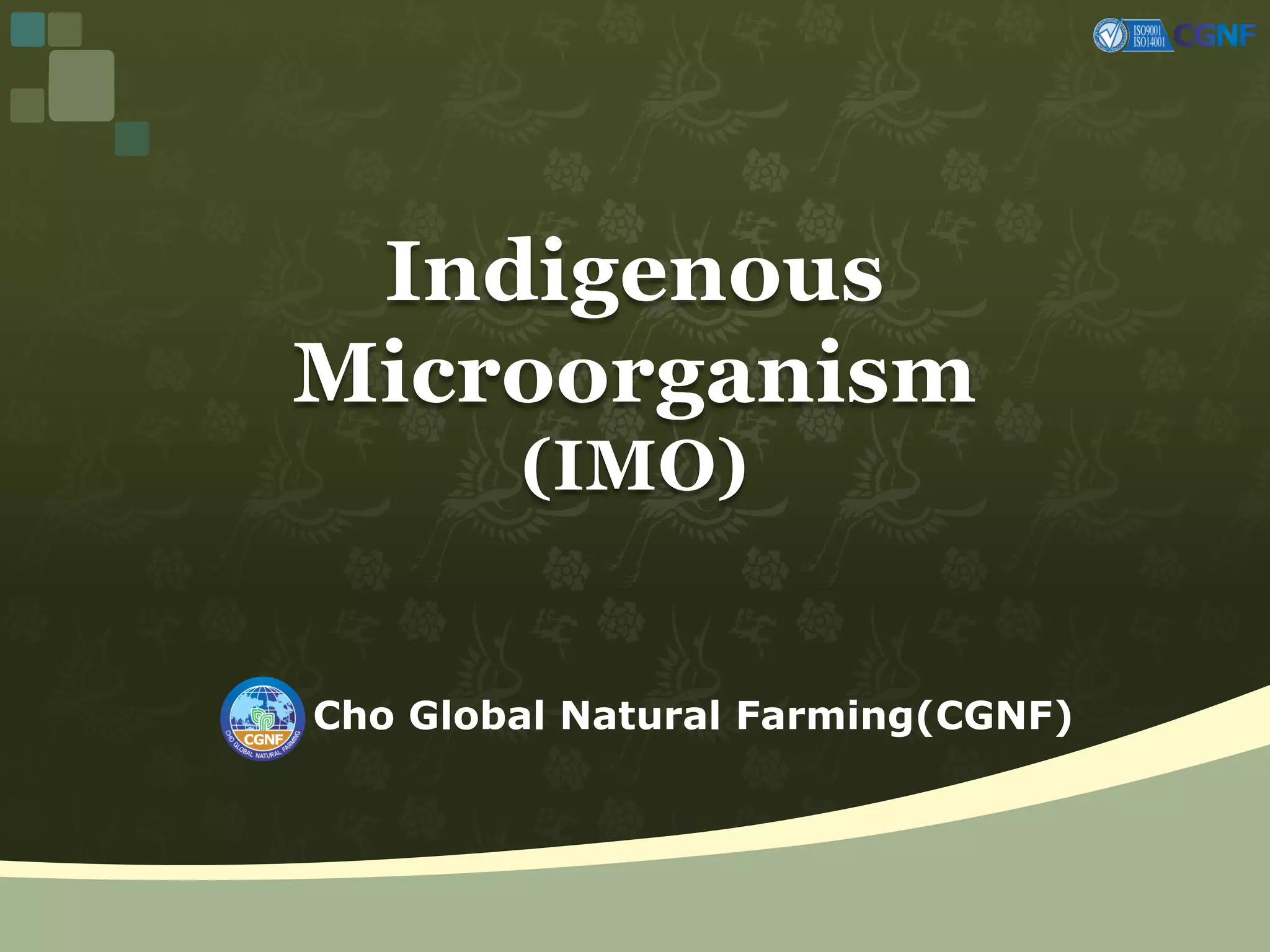 INDIGENOUS MICROORGANISM (IMO1-5) BY DR PARK | PDF
