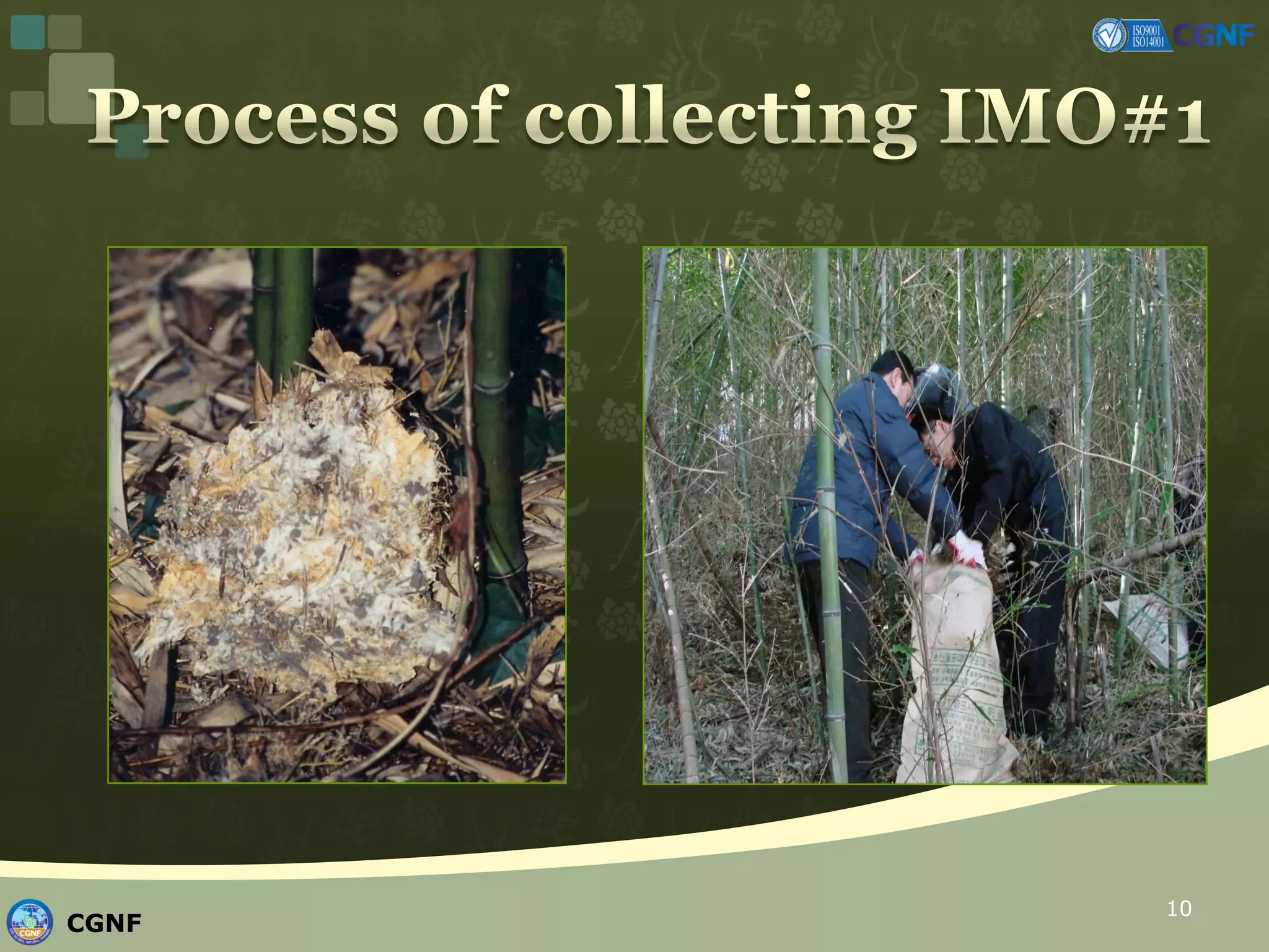 INDIGENOUS MICROORGANISM (IMO1-5) BY DR PARK | PDF