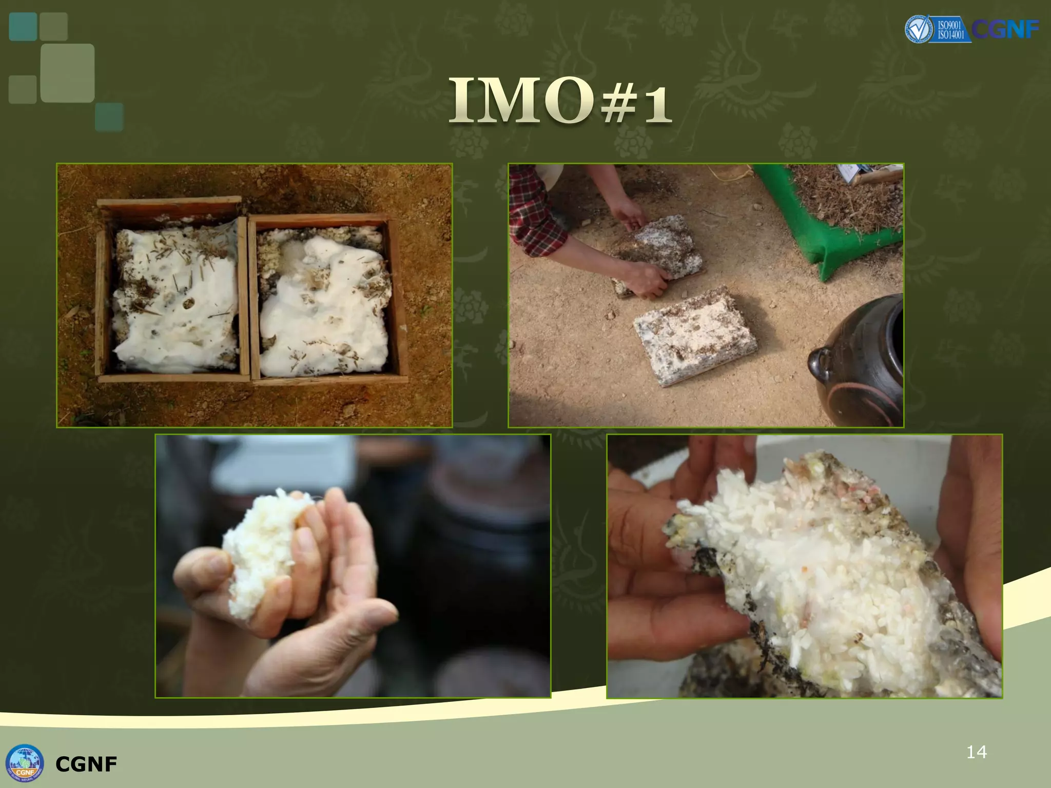 INDIGENOUS MICROORGANISM (IMO1-5) BY DR PARK | PDF