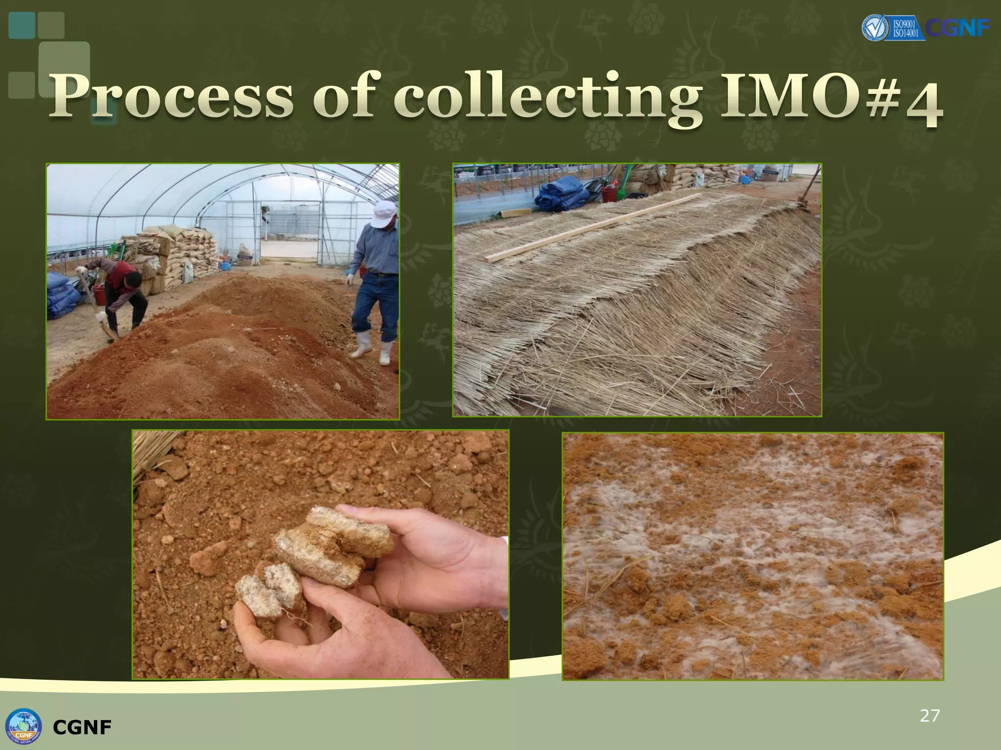 INDIGENOUS MICROORGANISM (IMO1-5) BY DR PARK | PDF