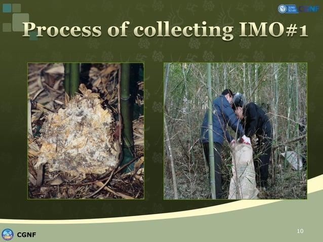 INDIGENOUS MICROORGANISM (IMO1-5) BY DR PARK | PDF | Gardening | Home ...