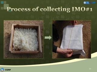 INDIGENOUS MICROORGANISM (IMO1-5) BY DR PARK | PDF