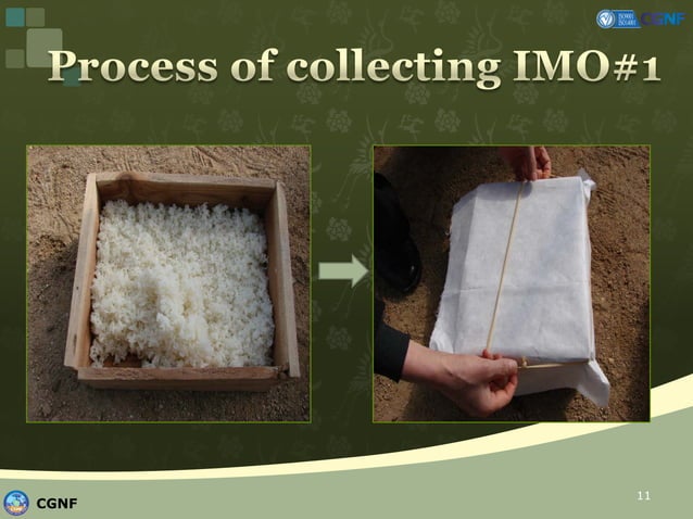 INDIGENOUS MICROORGANISM (IMO1-5) BY DR PARK | PDF | Gardening | Home ...