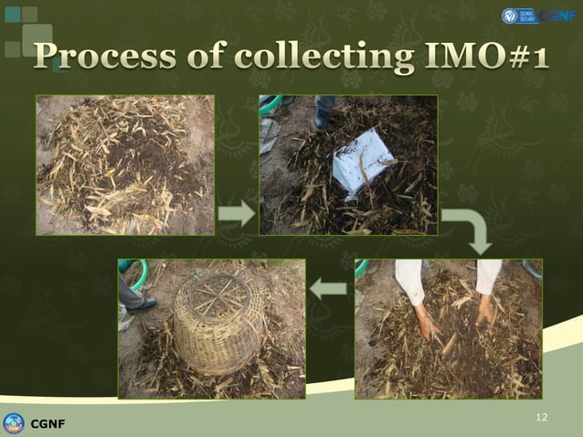 INDIGENOUS MICROORGANISM (IMO1-5) BY DR PARK | PDF | Gardening | Home ...