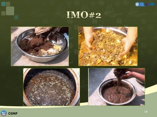 INDIGENOUS MICROORGANISM (IMO1-5) BY DR PARK | PDF