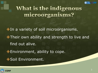INDIGENOUS MICROORGANISM (IMO1-5) BY DR PARK | PDF