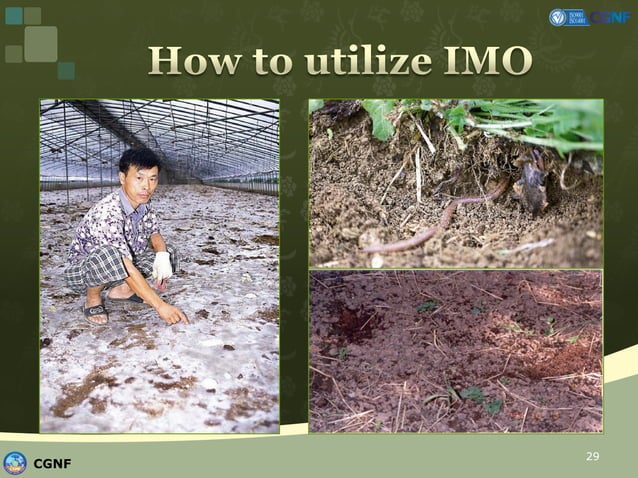 INDIGENOUS MICROORGANISM (IMO1-5) BY DR PARK | PDF | Gardening | Home ...