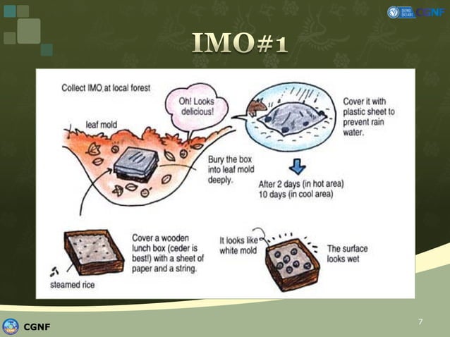 INDIGENOUS MICROORGANISM (IMO1-5) BY DR PARK | PDF | Gardening | Home ...
