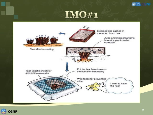 INDIGENOUS MICROORGANISM (IMO1-5) BY DR PARK | PDF | Gardening | Home ...