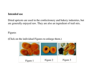 Dried Apricots : Packing, Transporting And Risk Factors | PPT