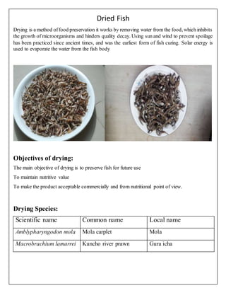 Dried Fish: Preservation, Species, and Recipes | PDF