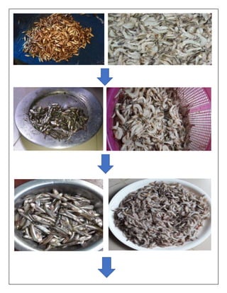 Dried fish | DOCX