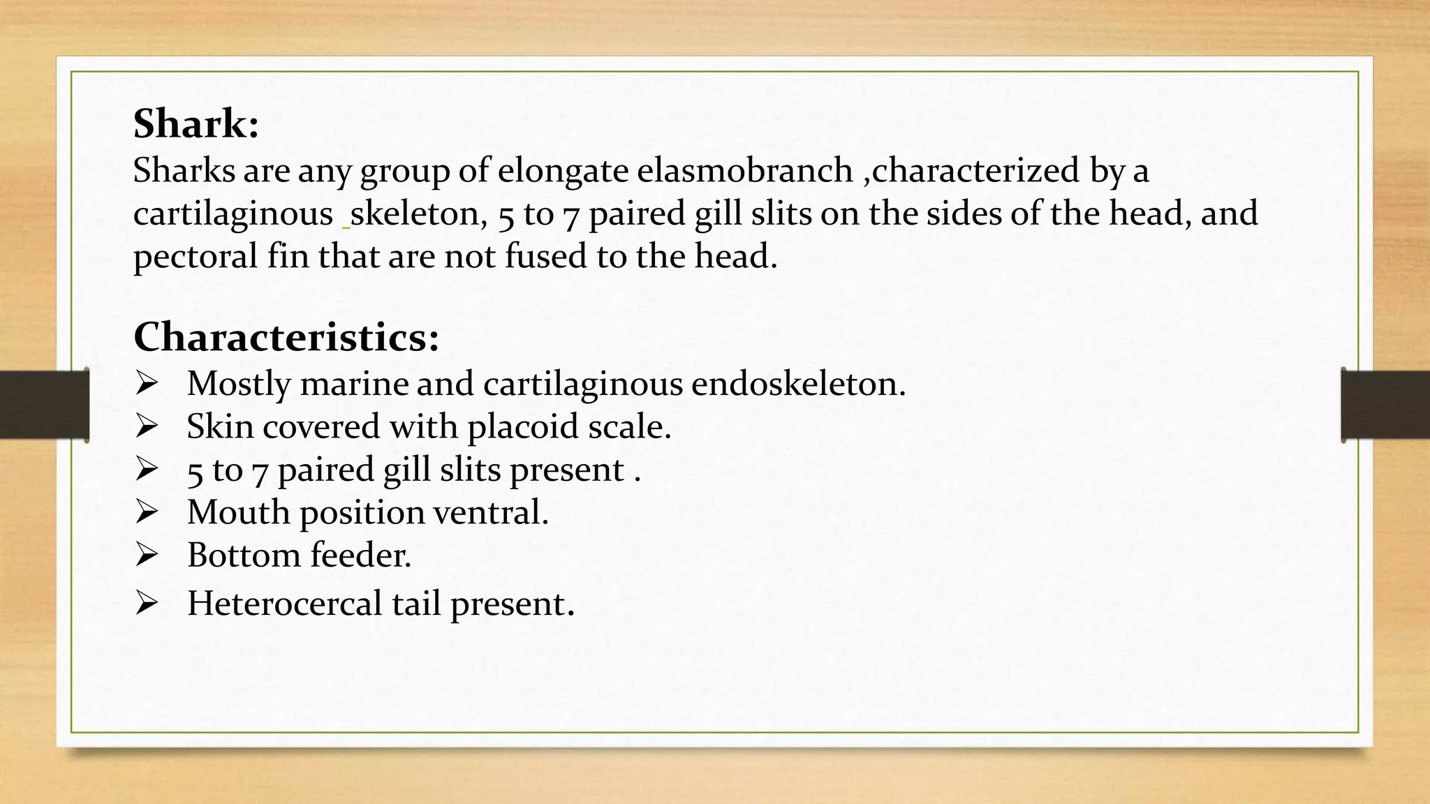 Dried shark's fin | PPTX