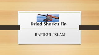 Dried shark's fin | PPT