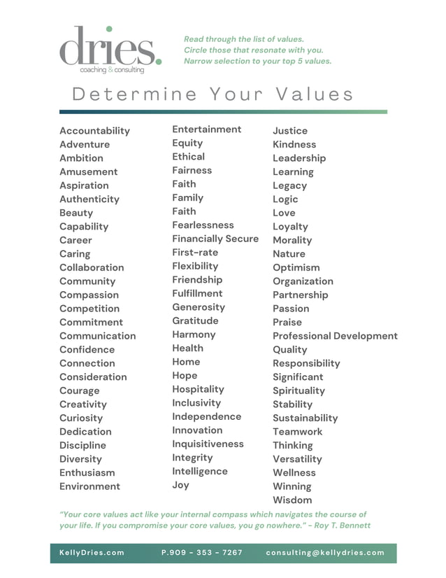Dries Coaching & Consulting Values Sheet.pdf