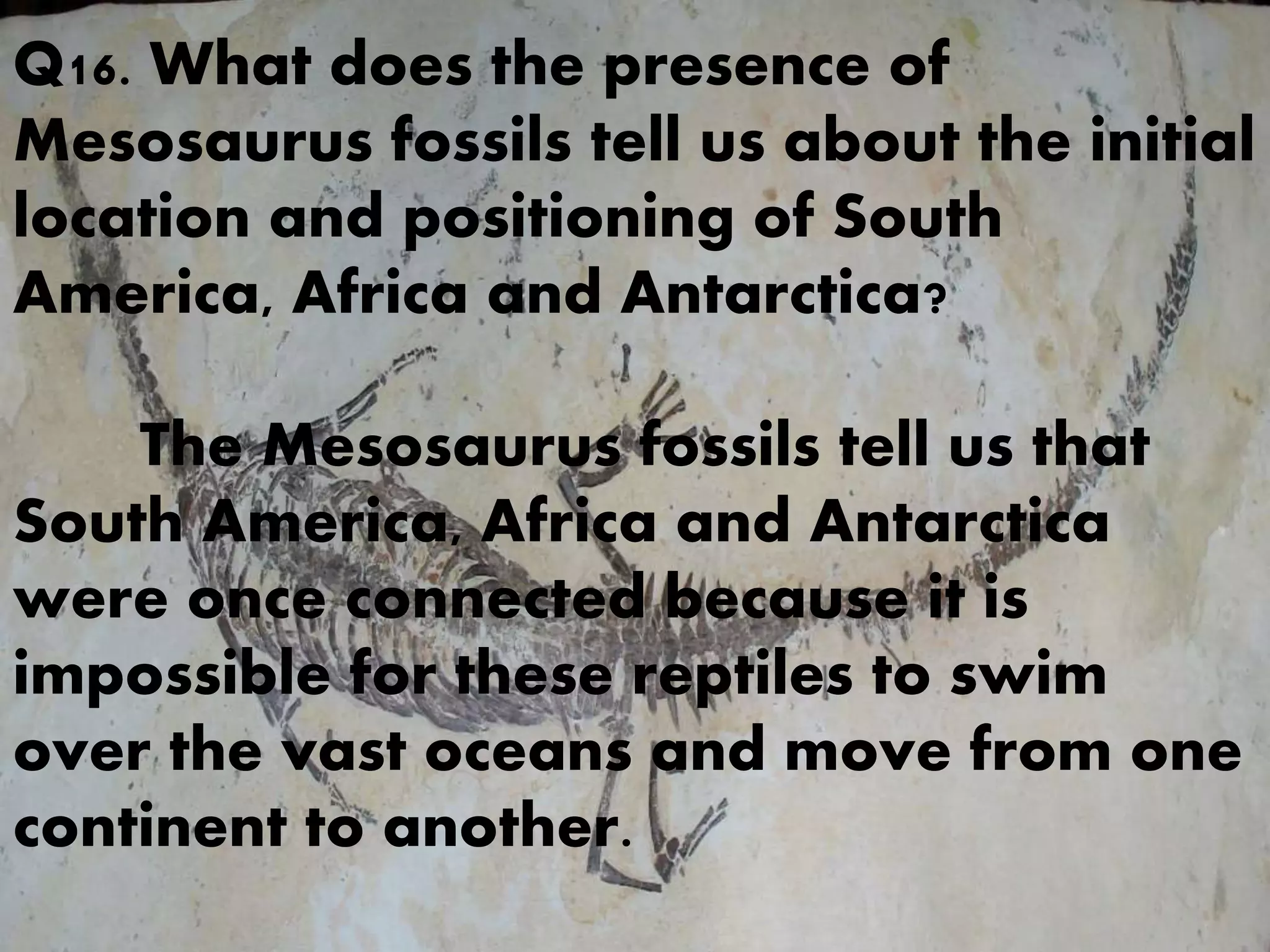 Drifted supercontinent! | PPTX