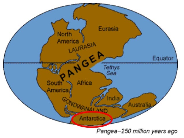 Drifted supercontinent!